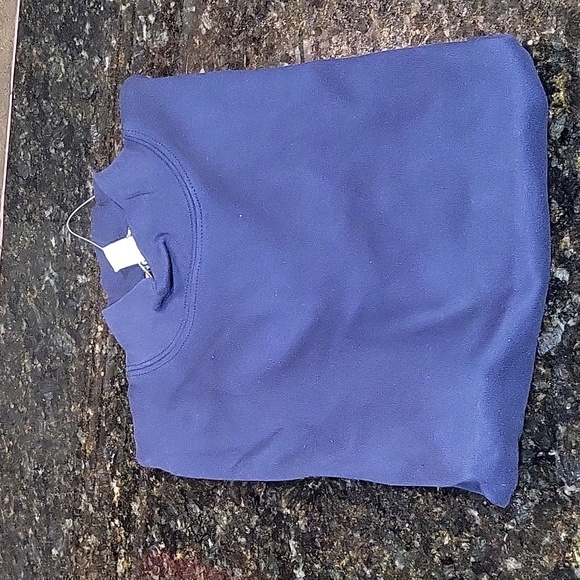 Carolyn Taylor | Tops | Nwt Blue Caryolyn Taylor Mock Turtleneck Size ...